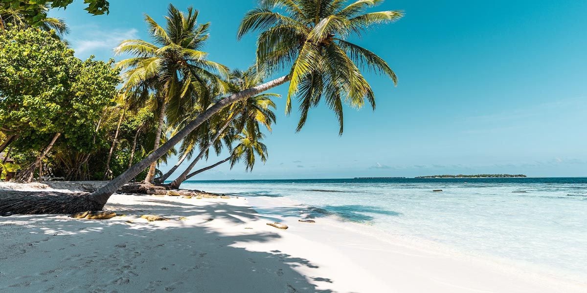 Potovanje Destinacije najugodnejši aranžmaji in cene za 2025/2026 | Jungle Tribe